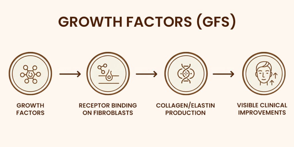 Growth Factors – Skin & Hair Boost at Dr Hans Clinics